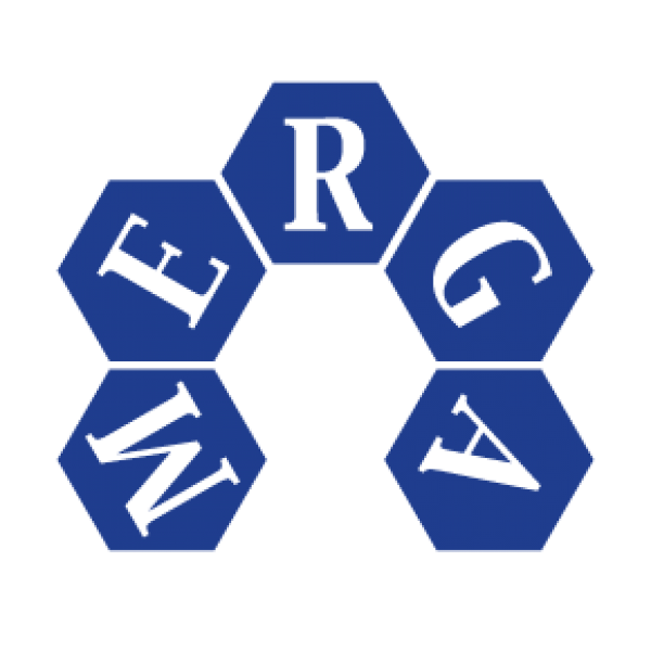 Mathematics Education Research Group of Australasia (MERGA) - AMSI I ...