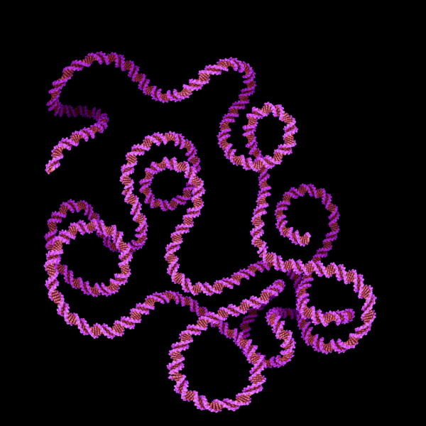 Video Game Technology & Maths? Join Biomedical Animator, Dr Drew Berry ...